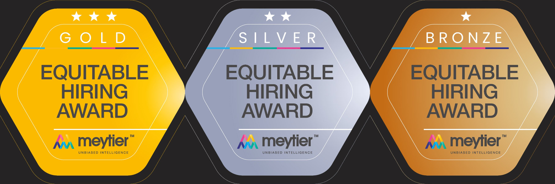 Meytier Equitable Hiring Awards: Methodology