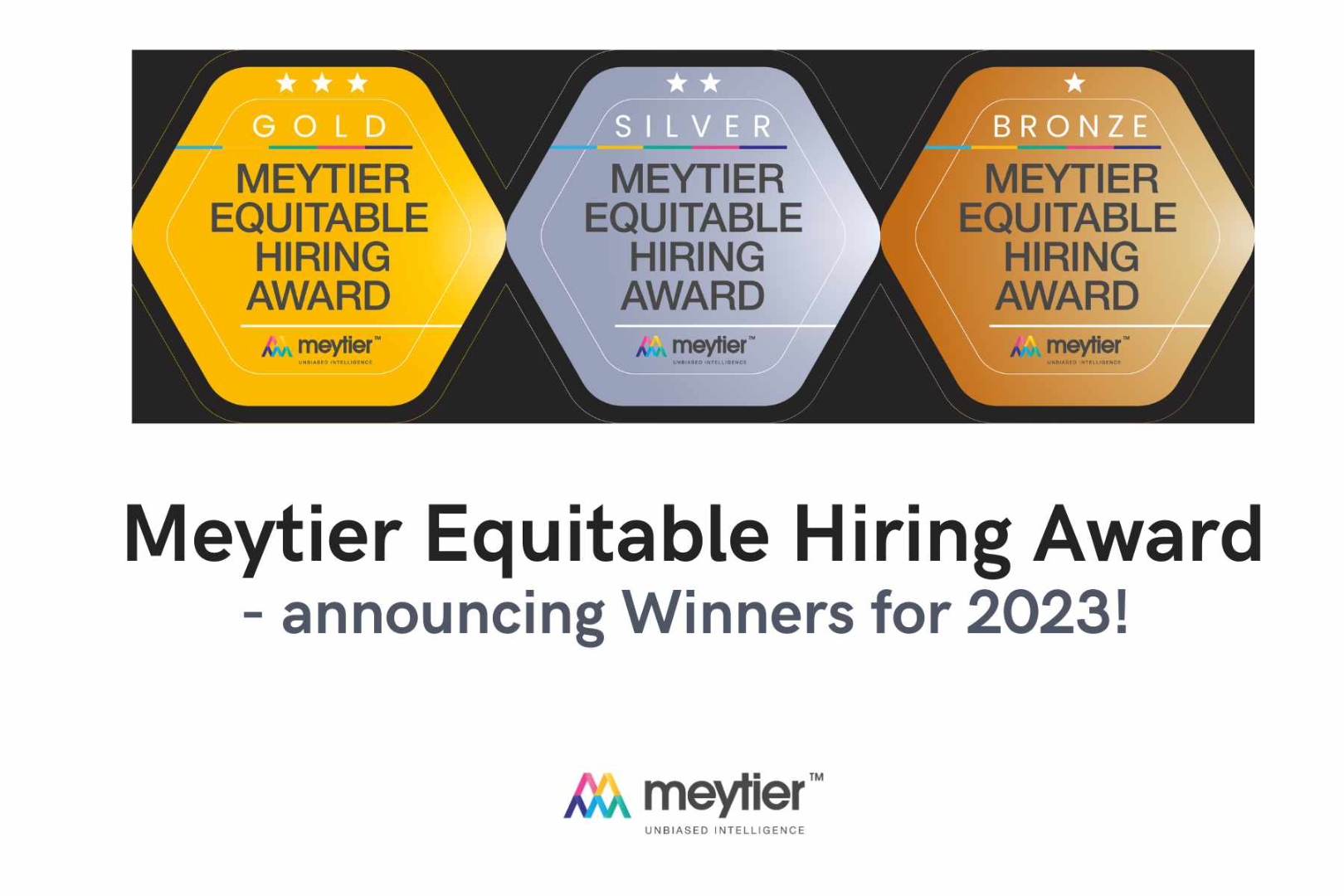 Meytier Equitable Hiring Awards: 2023 Winners